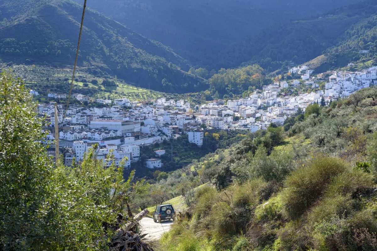 Sierra de las Nieves y Serranía de Ronda: una red de mujeres en ...