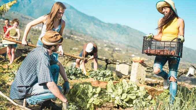 Innovación social: una herramienta imprescindible para las zonas ...