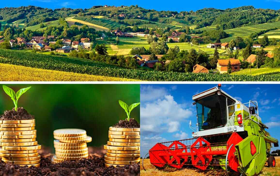 Europa y el medio rural: cultivar nuestro propio jardín, el método ...